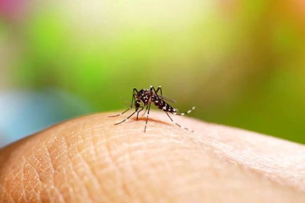 Albay PHO, padagos an pangapodan sa publiko na imantenir an kalinigan ...