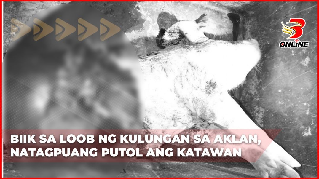 Biik sa loob ng kulungan sa Aklan, natagpuang putol ang katawan