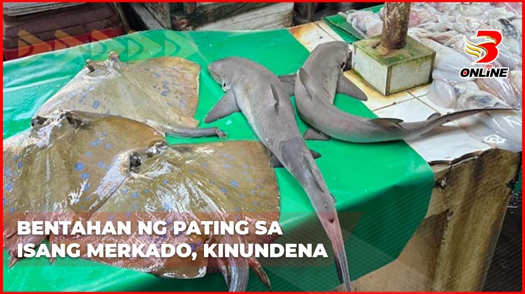Bentahan ng pating sa isang merkado, kinundena