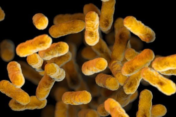 Anim na panibagong kaso ng pertussis sa Albay, naitala | BRIGADA ONLINE Anim na panibagong kaso ng pertussis sa Albay, naitala | BRIGADA ONLINE