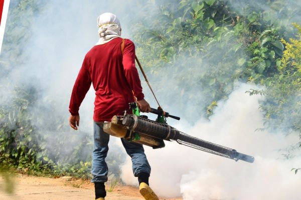 Fogging Activity, patuloy sa Naga City para malabanan ang Dengue ...
