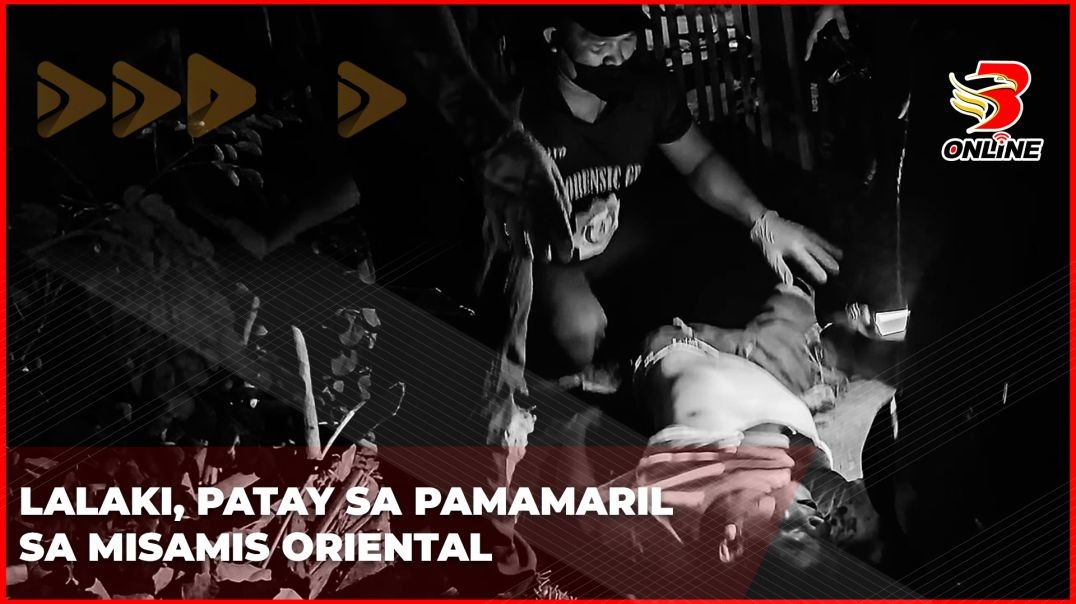 Latest videos | BRIGADA ONLINE