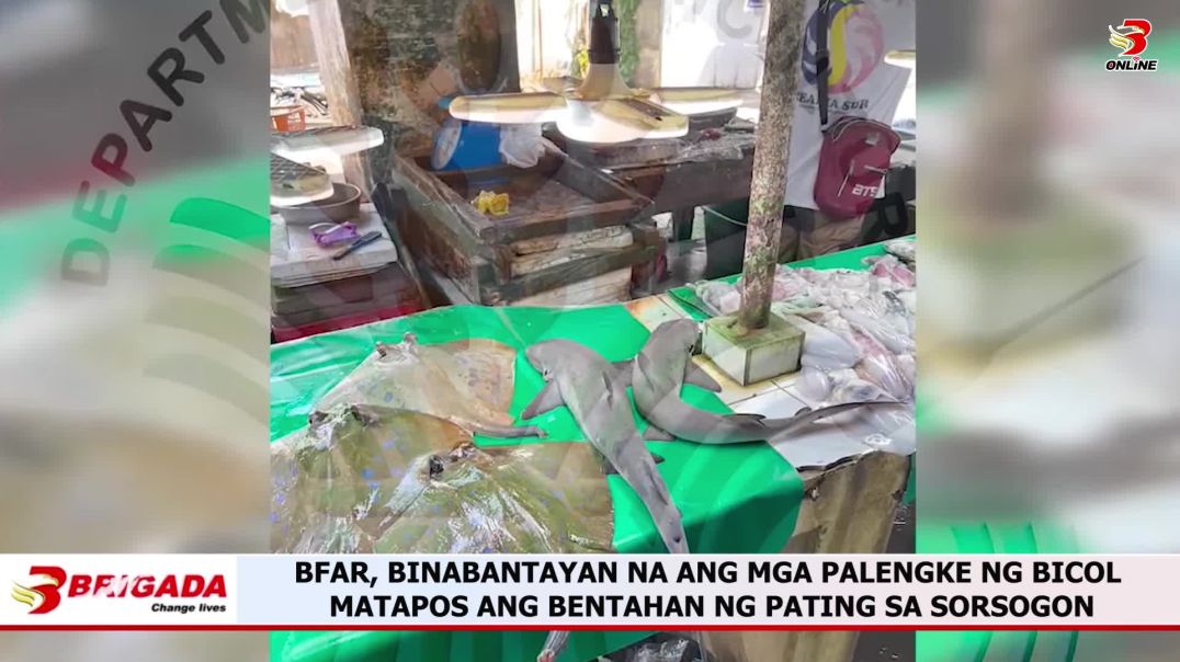 BFAR, binabantayan na ang mga palengke ng Bicol matapos ang bentahan ng ...
