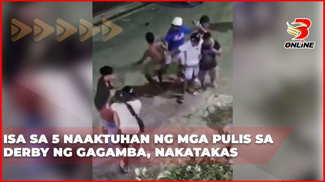 Isa sa 5 naaktuhan ng mga pulis sa derby ng gagamba, nakatakas Isa sa 5 naaktuhan ng mga pulis sa derby ng gagamba, nakatakas