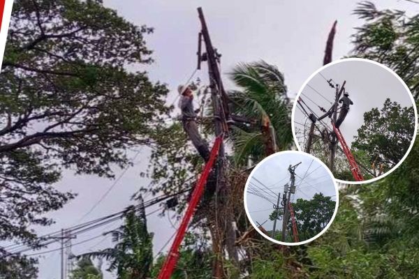 Electrical wires at transformer sa mga natumbang poste, huwag nakawin ...