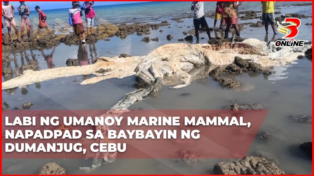 BrigadaOnline | BRIGADA ONLINE