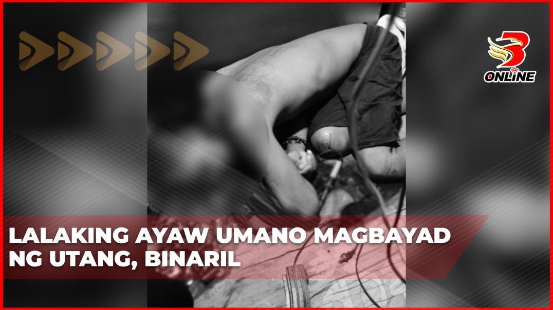 BrigadaOnline | BRIGADA ONLINE