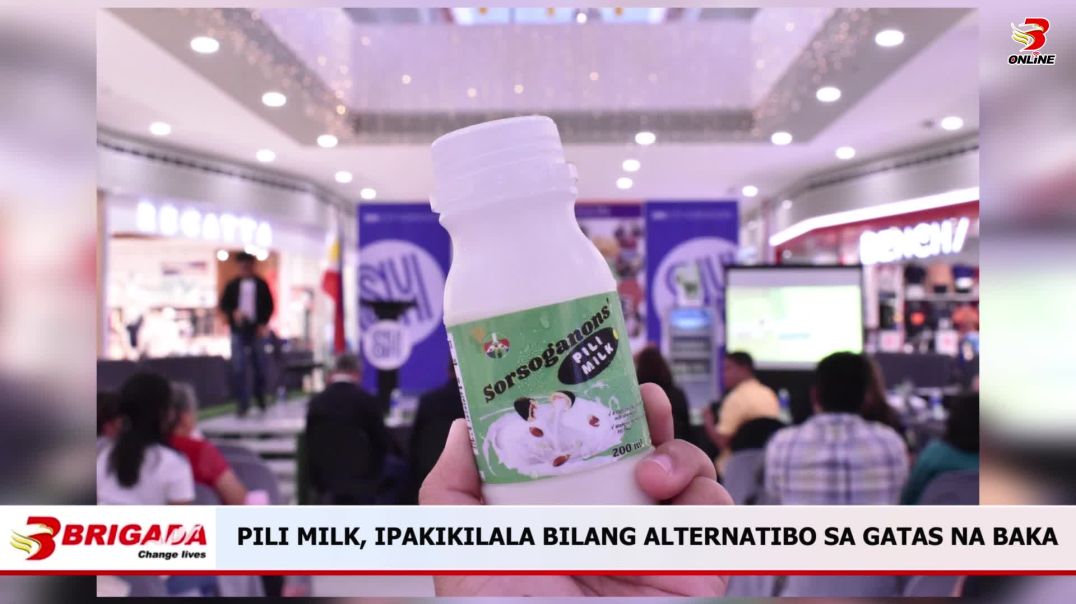 Pili Milk, ipakikilala bilang alternatibo sa gatas na baka