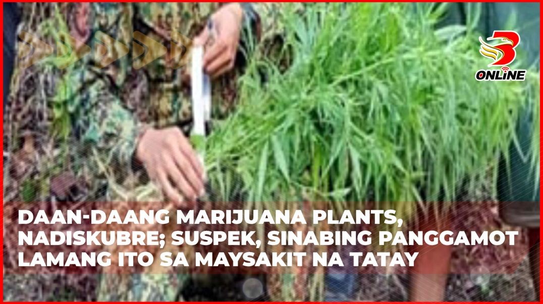 BrigadaOnline | BRIGADA ONLINE