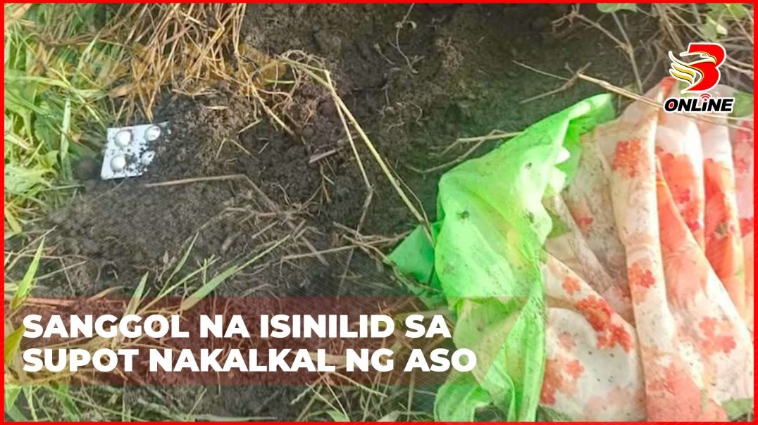 Sanggol na isinilid sa supot nakalkal ng aso