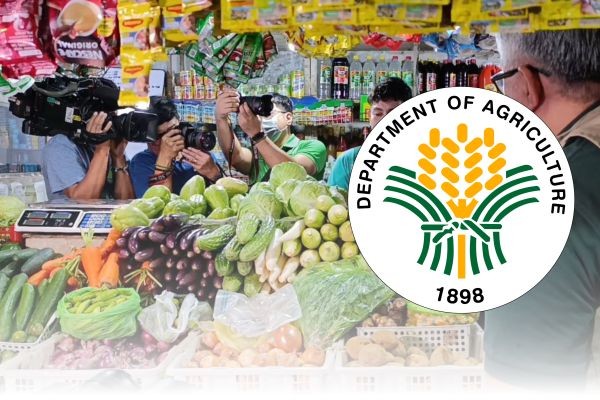 Pagtaas ng presyo ng gulay, maaaring dulot ng pagpasok ng mga smuggled products sa merkado – DA ...