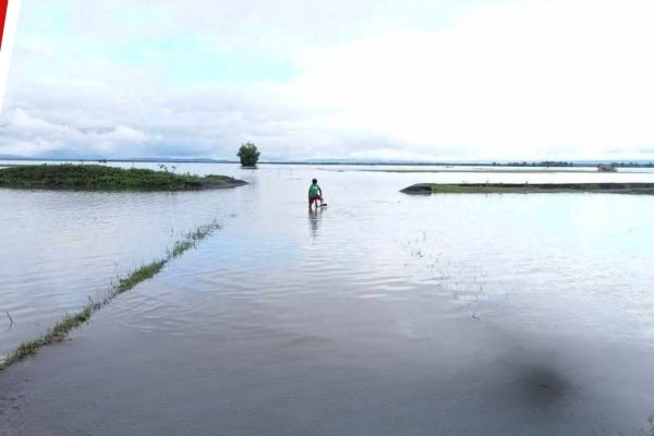 Pinsala ng Shear line sa agrikultura sa Bicol, pumalo na sa mahigit P7 ...