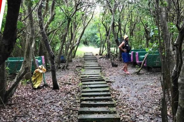 Department Of Enviroment And Natural Resources, may budget na inilaan ...