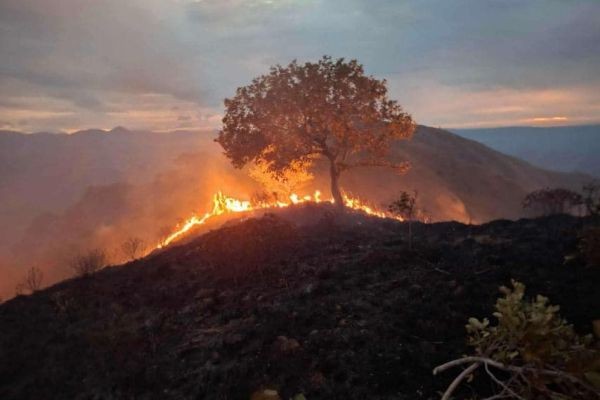Nasa 200 hanggang 300 ektarya ng kabundukan sa Carasi, Ilocos Norte ...
