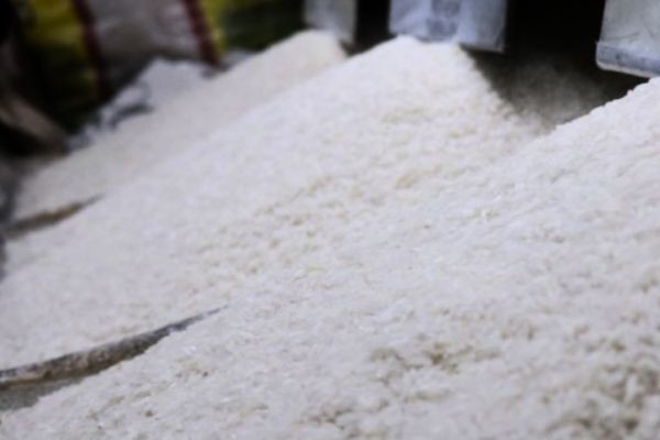 Presyo ng bigas sa ilalim ng "Rice-for-All" program, target ng DA na ...