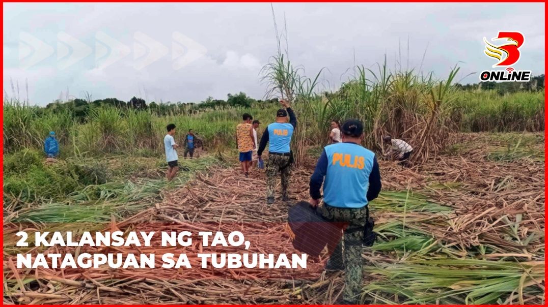 2 kalansay ng tao, natagpuan sa tubuhan 2 kalansay ng tao, natagpuan sa tubuhan