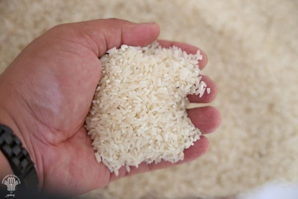 Ilang LGUs sa Metro Manila, posibleng magbenta na rin ng murang bigas ...
