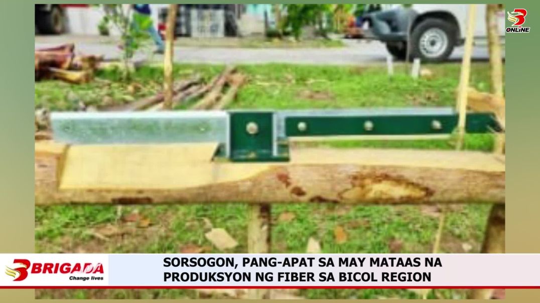 SORSOGON, PANG-APAT SA MAY MATAAS NA PRODUKSYON NG FIBER SA BICOL REGION