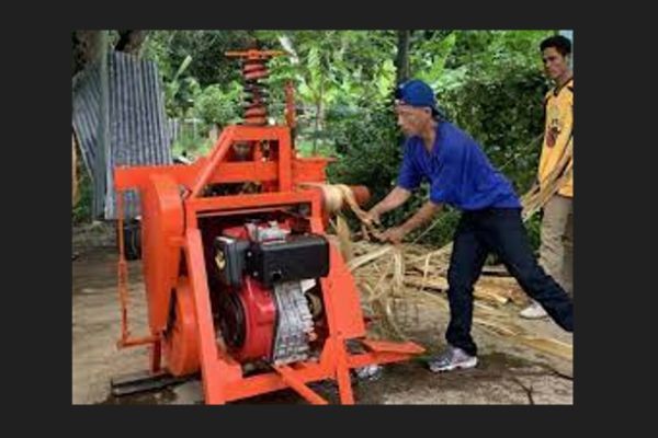 Sorsogon, pang-apat sa may mataas na produksyon ng fiber sa Bicol ...