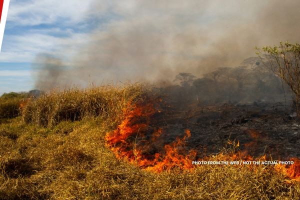 Unang fire incident, naitala na sa Goa, Camarines Sur; BFP muling ...