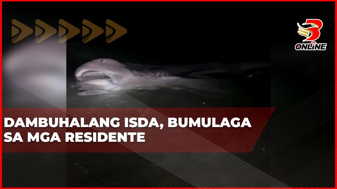 Dambuhalang isda, bumulaga sa mga residente