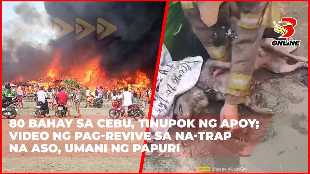 Butanding, na-trap sa lambat