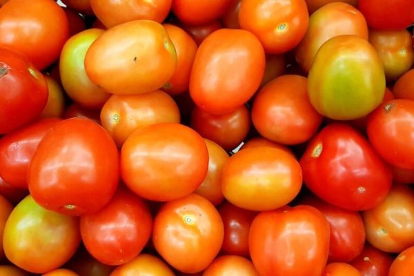 Floor price ng kamatis, bumagsak sa P5/kilo | BRIGADA ONLINE Floor price ng kamatis, bumagsak sa P5/kilo | BRIGADA ONLINE