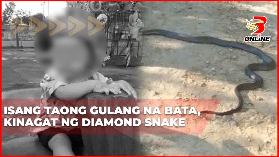 Isang taong gulang na bata, kinagat ng diamond snake