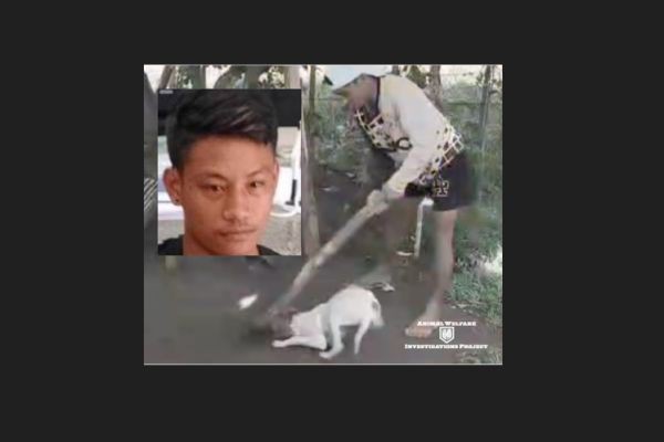 ‘Forda’ content only: Lalaki, pinalo sa ulo ang aso hanggang sa mamatay ...