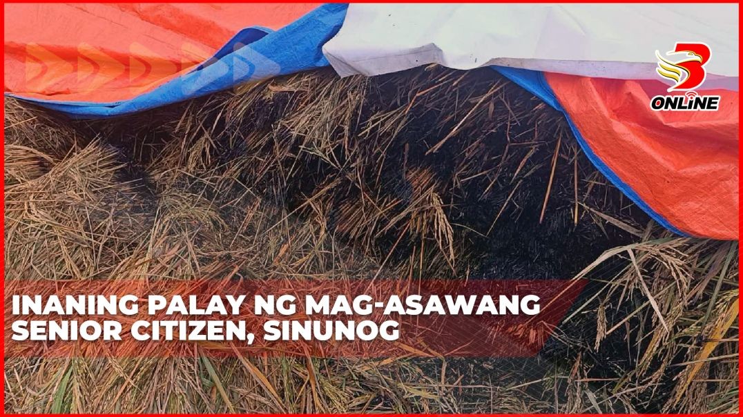 Inaning palay ng mag-asawang senior citizen, sinunog