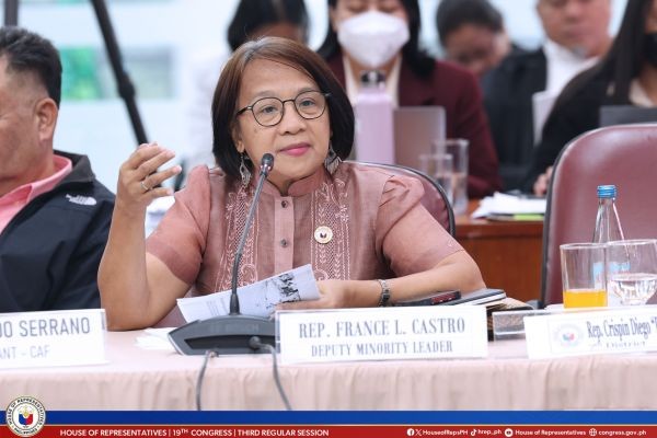 Cong. Castro: Mga tutol sa pag-aresto kay Digong, biktima ng fake news ...