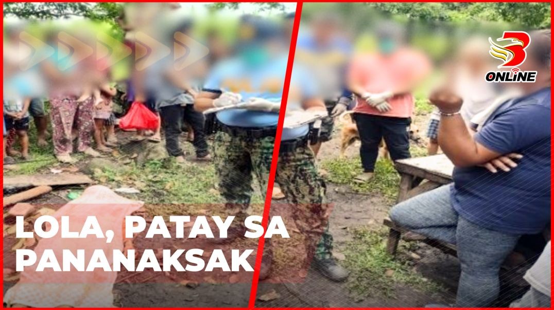 BrigadaOnline | BRIGADA BALITA