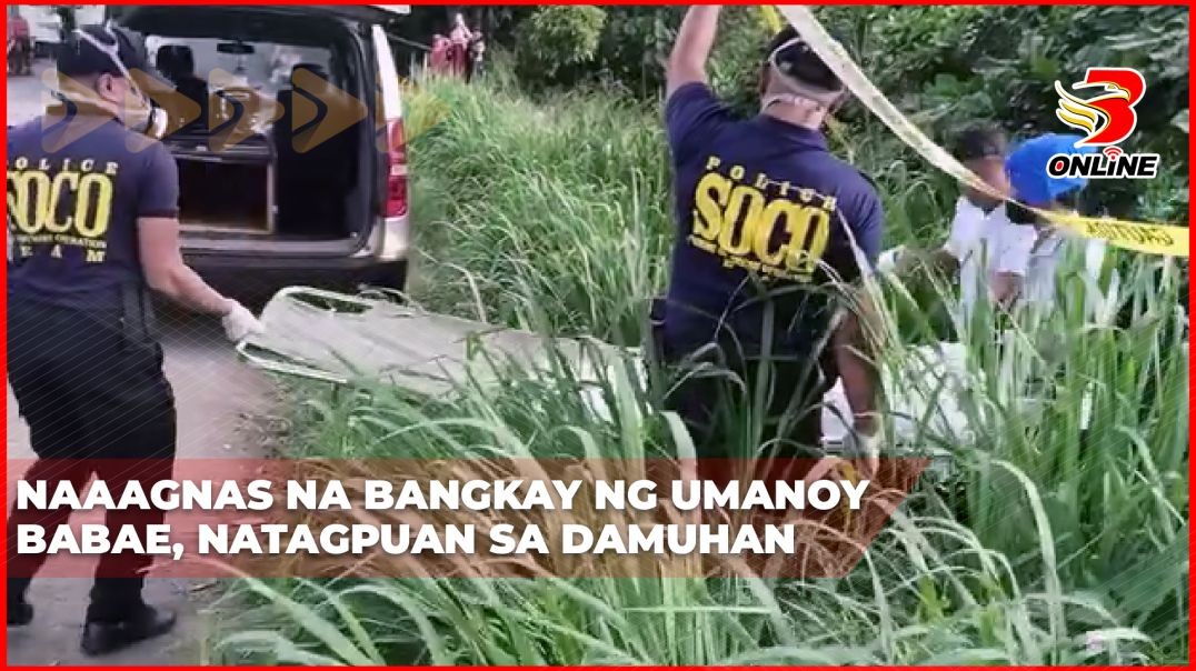 Naaagnas na fetus, natagpuan sa damuhan
