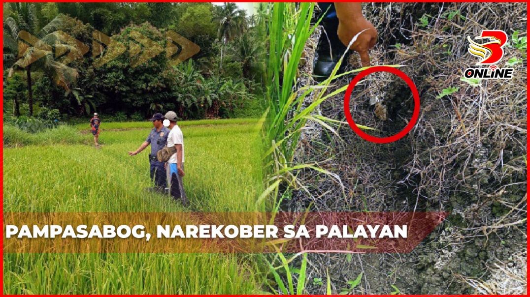 Pampasabog, narekober sa palayan