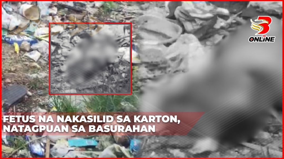 Fetus na nakasilid sa karton, natagpuan sa basurahan