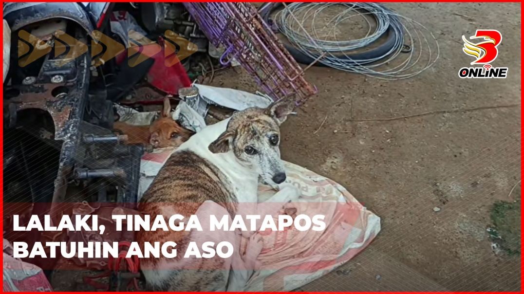 BrigadaOnline | BRIGADA BALITA