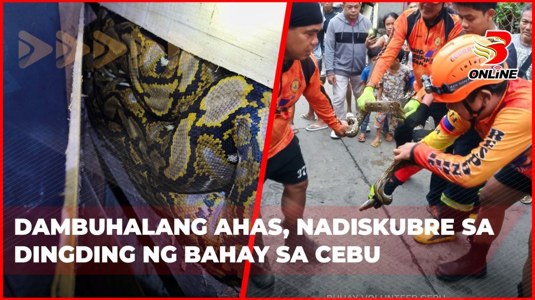 Bangkay ng lalaki, nadiskubre ng mga hikers sa Cebu