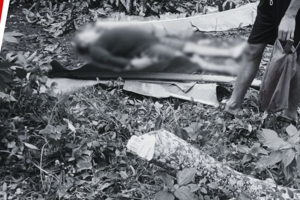 Padre de pamilya patay nang aksidenteng nabagsakan ng sanga ng puno sa Baao, Camarines Sur ...