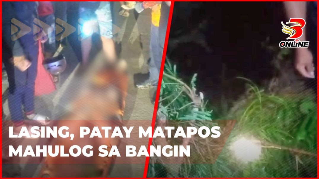 BrigadaOnline | BRIGADA BALITA