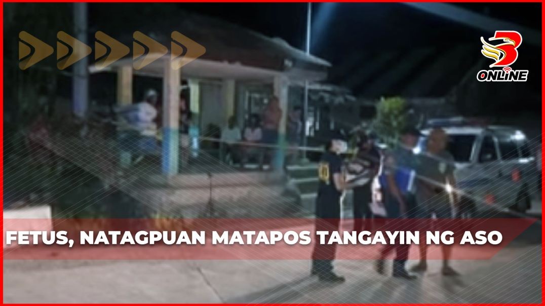 BrigadaOnline | BRIGADA BALITA