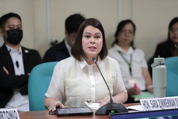 OVP, walang natanggap na paliwanag sa pagkakaalis sa pwesto sa security ...