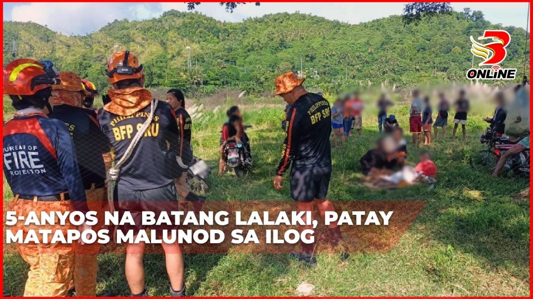 BrigadaOnline | BRIGADA BALITA