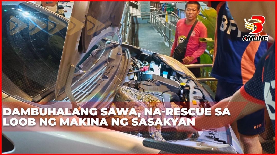 Malaking sawa sa ilalim ng lababo, na-rescue
