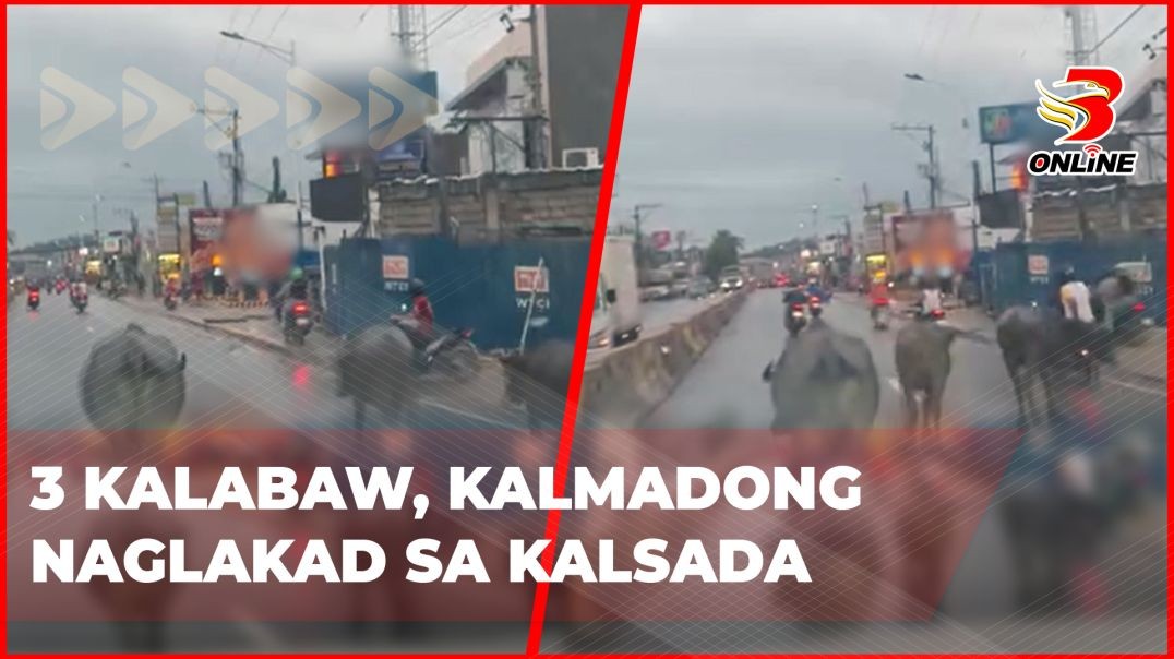 BrigadaOnline | BRIGADA BALITA