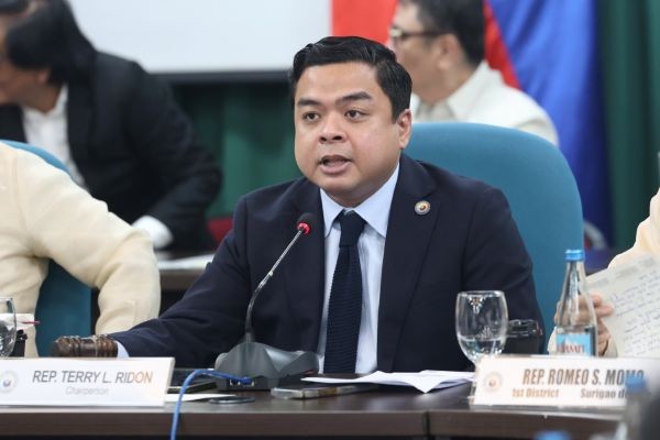 Cong. Terry Ridon, gustong papanagutin si Cong Leandro Leviste sa ...