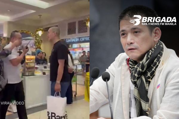 Padilla, ipinagtanggol si Atty. Guanzon laban sa mga bashers | BRIGADA ...