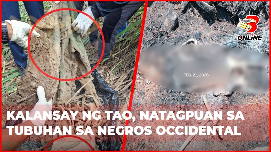Kalansay ng tao, natagpuan sa tubuhan sa Negros Occidental